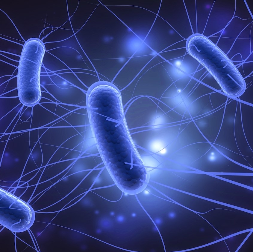 Genome Dashboard - IGB